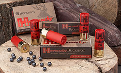 12 ga 00 Buckshot Critical Defense®